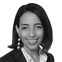 Global Team – Flexstone