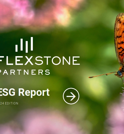 Newsroom – Flexstone